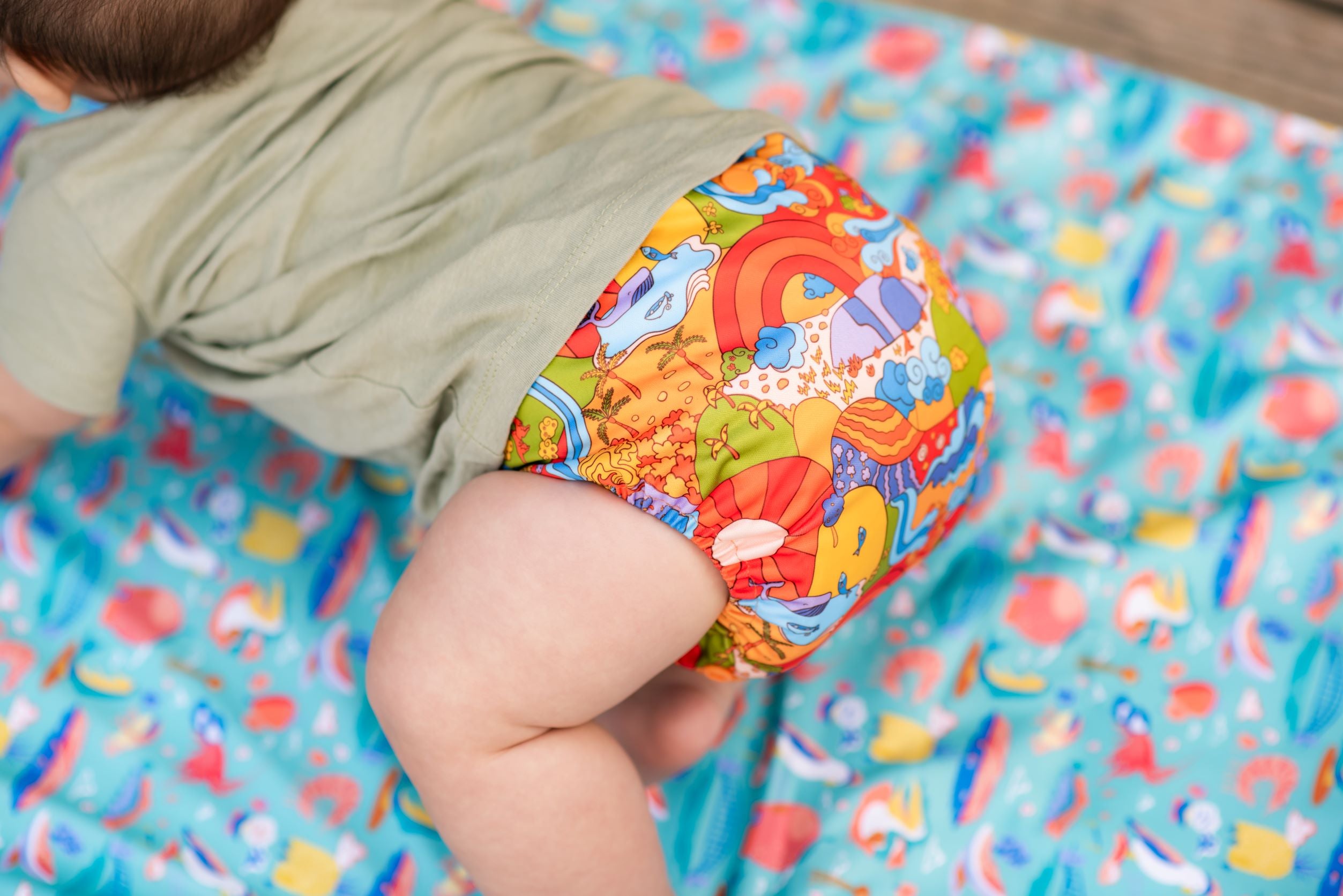 Ellie Whittaker Collection – Monarch